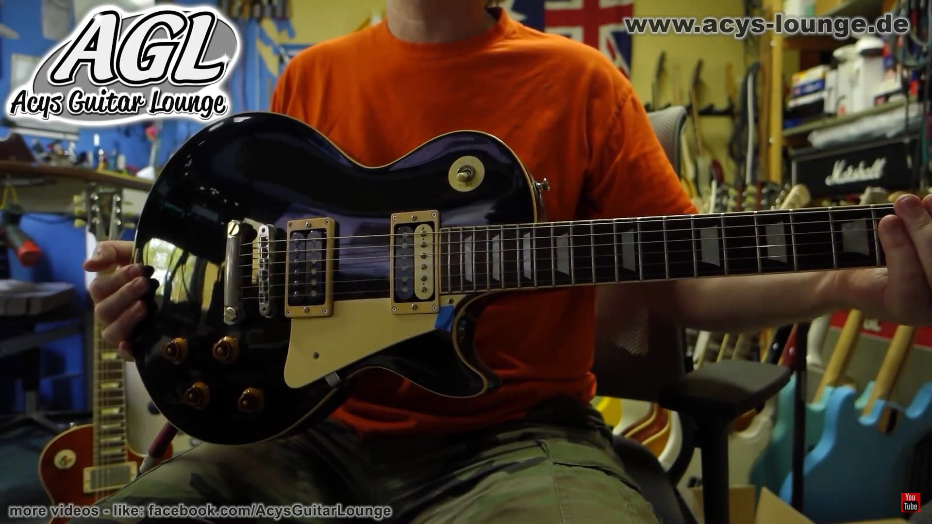 AGL by Häussel Wild Honey Pickups - Acys Guitar Lounge und Häussel Pickups